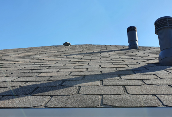 How to Choose the Right Roofing Material for Your Home