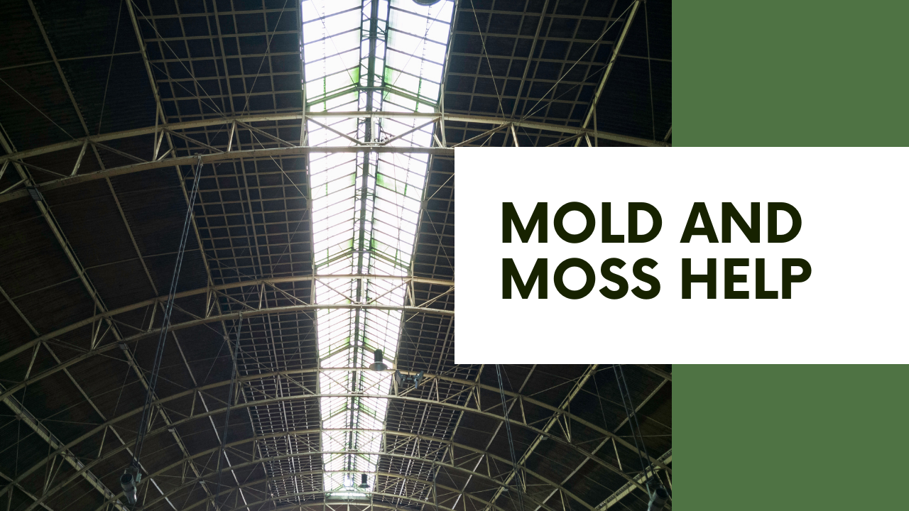 Top Tips for Dealing with Mold and Moss on Your Roof
